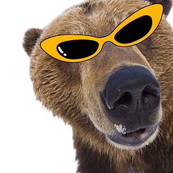 GRIZZLER/SOL - Rizz Bear Price on Raydium | GeckoTerminal