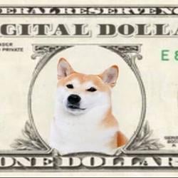 $1Dog/SOL - One Dollar Dog Price on Raydium | GeckoTerminal