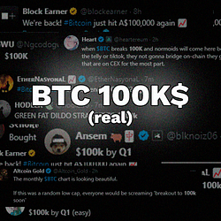 100K/SOL - btc 100k$(real) Price on Raydium | GeckoTerminal