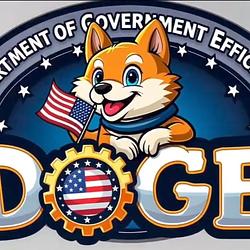 DOGE/SUI - D.O.G.E Price on Turbos Finance | GeckoTerminal