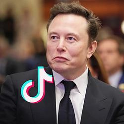 TIKTOK/SOL - Elon Musk's TikTok Price on Raydium | GeckoTerminal