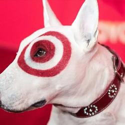 Bullseye/SOL - Target Mascot Dog Price on Raydium | GeckoTerminal