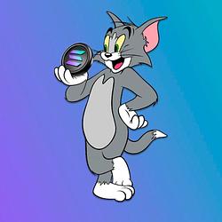 TOM/SOL - TOM Price on Raydium | GeckoTerminal