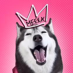 MEEKA/SOL - TikTok Talking Husky Price on Raydium | GeckoTerminal