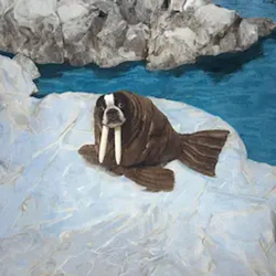 WOG/SUI - Walrus Dog Price on BlueMove | GeckoTerminal