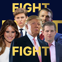 TRUMPFAM/SOL - Official Family Coin Price on Raydium | GeckoTerminal